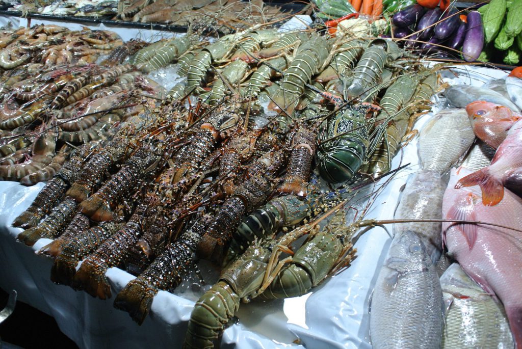 15+ Lokasi Lihat Langit Malam Paling Cantik Di Malaysia. Pacak Khemah ...