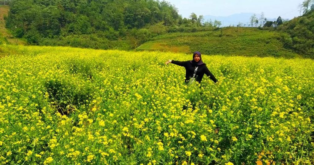 Boleh Gelongsor Terus Sampai Sungai, Tarikan Best Camping Di Sojuk ...