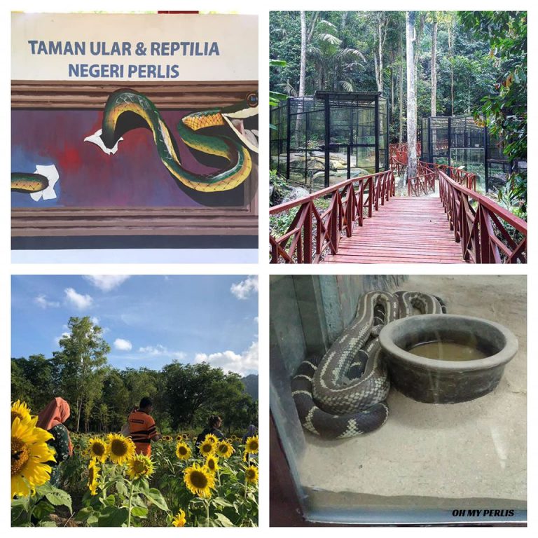 30 Tempat Menarik Di Perlis Sekali Seumur Hidup Korang Kena Singgah!