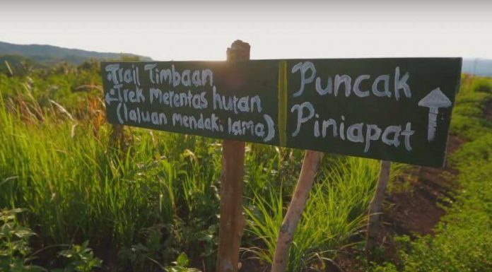 Trail Berbunga Tarikan Bukit Piniapat, Pitas Sabah. Cantik Sangat!
