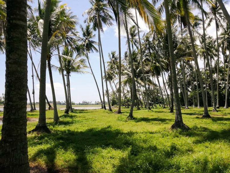 Jom Camping! Takah Pengkoi, Lokasi Air Terjun 'Cun' Di Perkampungan ...