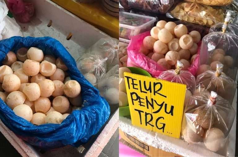 Henti Jual Telur Penyu Dalam Talian! Terengganu Kaji Haramkan Penjualan Telur Penyu