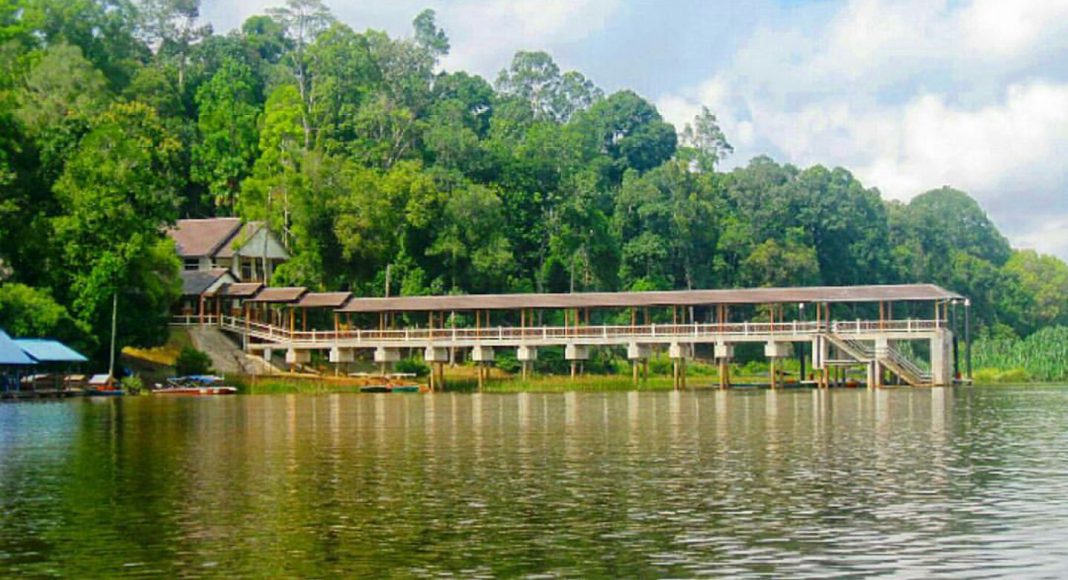 Tasik Lagenda Naga, Tasik Chini Pahang Bakal 'Berwajah Baru'