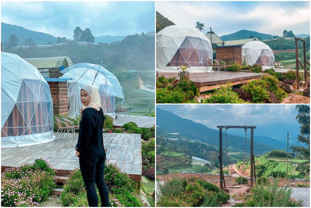 A’moss Farmstay, Lokasi Penginapan 'Dome' Dalam Kebun Sayur Viral Di ...