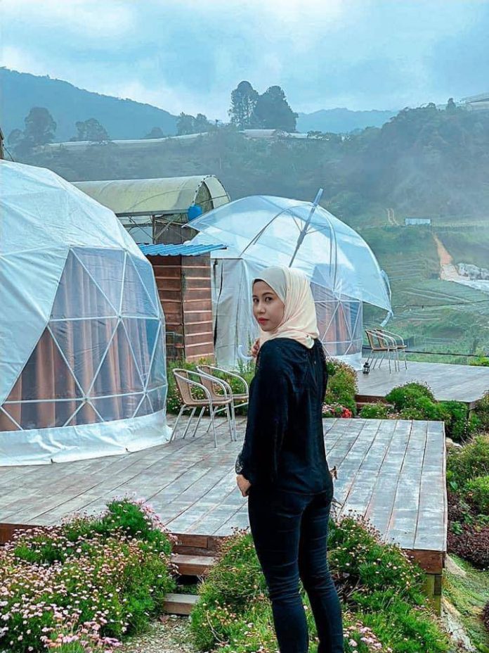 A’moss Farmstay, Lokasi Penginapan 'Dome' Dalam Kebun Sayur Viral Di ...