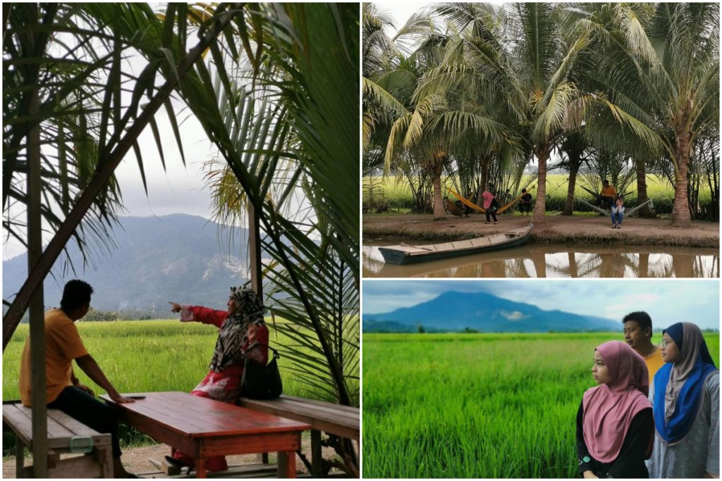 Peminat Air Nira Nipah, Jom 'Layan' Minum Di Ladang Nira Nipah Napiah ...