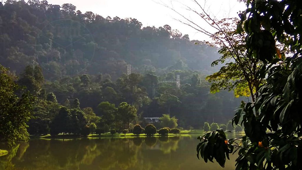 'Forest Skywalk' Jambatan Baru Di FRIM Kepong, Tarikan Baru Untuk ...