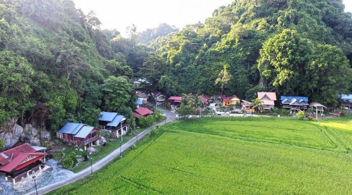 Bangun Pagi Tengok View Sawah Padi. Homestay Ujung Bukit Perlis Pilihan ...