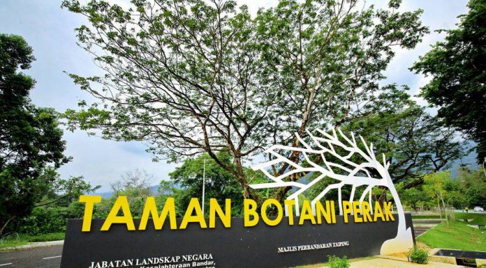 Taman Botani Taiping Makin Cantik, Lokasi Ideal Untuk Korang Beriadah ...