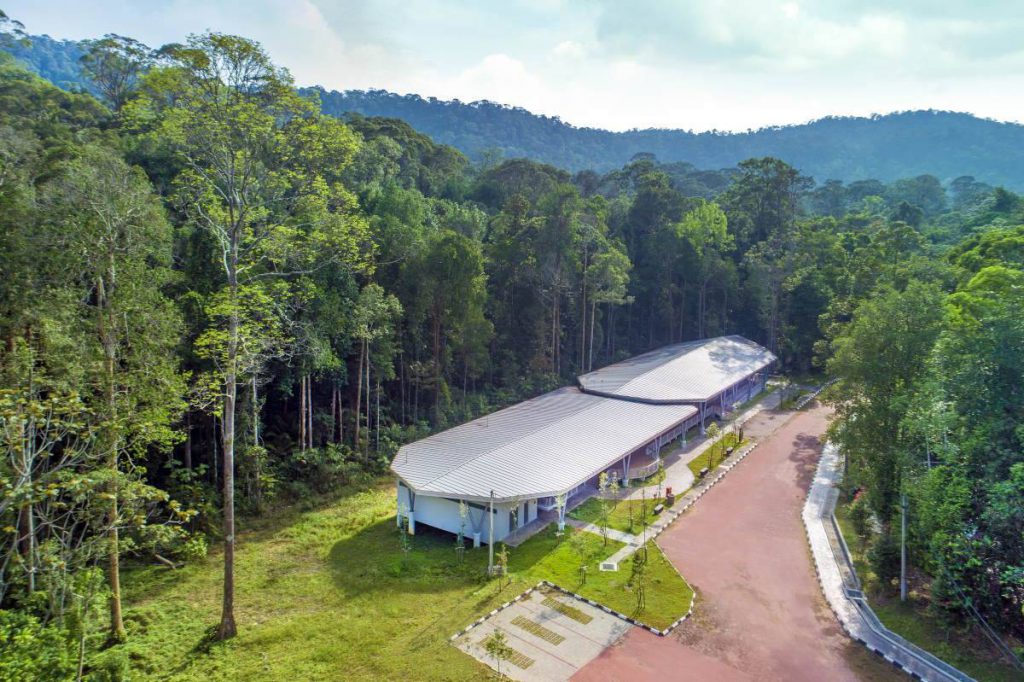 Selepas 4 Tahun Ditutup, Taman Negeri Rompin, Pahang Sedia Terima 'Kaki ...