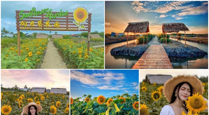 Port OOTD Cun Kat Perak! Ladang Bunga Matahari, Tarikan di Bagan Datoh