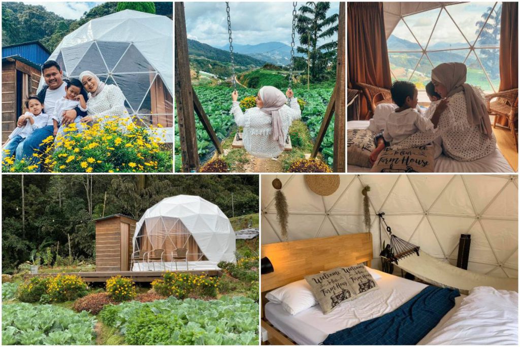 A’moss Farmstay Cameron Highland, Glamping Bersuhu Sejuk Ala 'Whitepod ...
