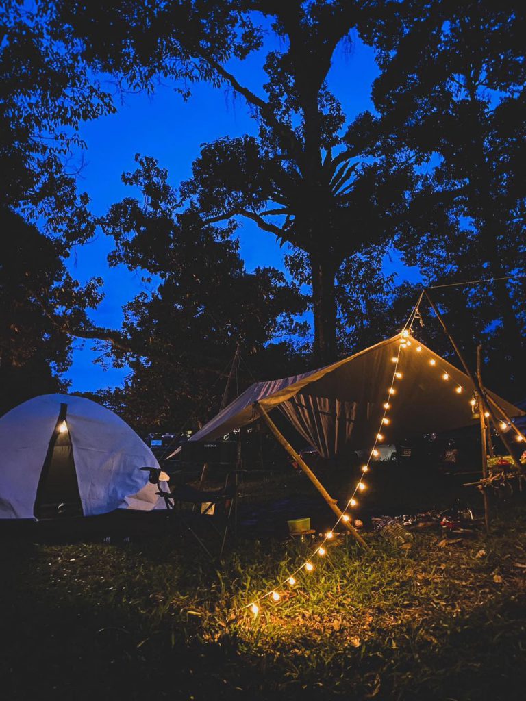 Umpama Kera Dapat Bunga: Viral Tak Sampai Seminggu, Habis Jahanam ...