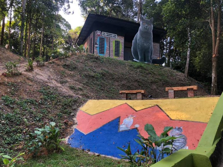 Taman Kucing Dungun, 'Mahligai Impian' Buat Si Bulus Jalanan Di Terengganu