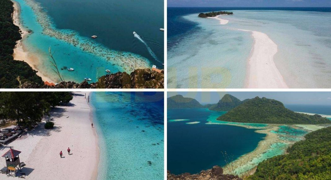 Wow, Perlis Ada Ladang Bunga Matahari Sendiri! Port Menarik Untuk ...