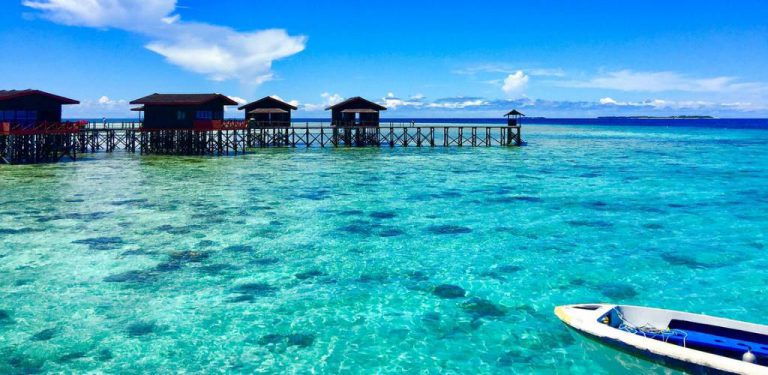 Wow, Perlis Ada Ladang Bunga Matahari Sendiri! Port Menarik Untuk ...