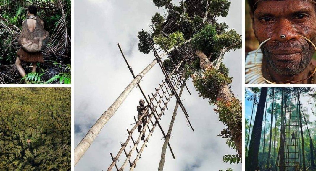Kenali Suku Korowai! Jalani Hidup Terpencil Di Hutan Tebal & Bina Rumah Setinggi 50 Meter Di ...