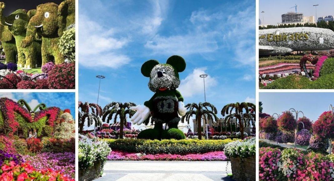 Dubai Miracle Garden, Syurga Bunga Di Tengah Gurun