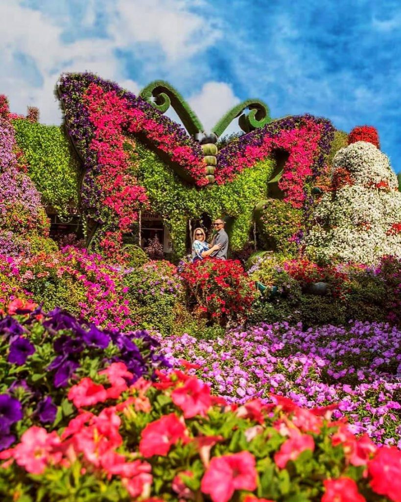 Dubai Miracle Garden, Syurga Bunga Di Tengah Gurun