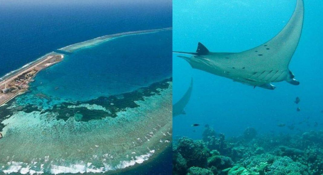 Jadi Rebutan Banyak Negara, Ini Keistimewaan & Keindahan Pulau Layang ...