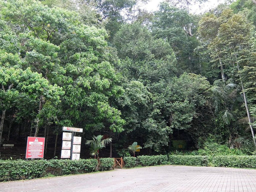 Hutan Lipur Soga Perdana, Lokasi Riadah Popular Di Batu Pahat