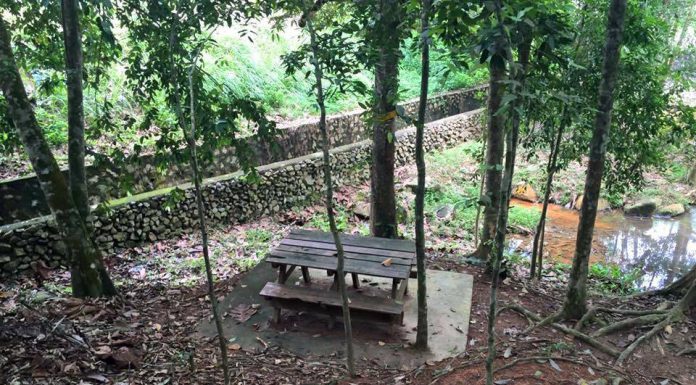 Hutan Lipur Soga Perdana, Lokasi Riadah Popular Di Batu Pahat