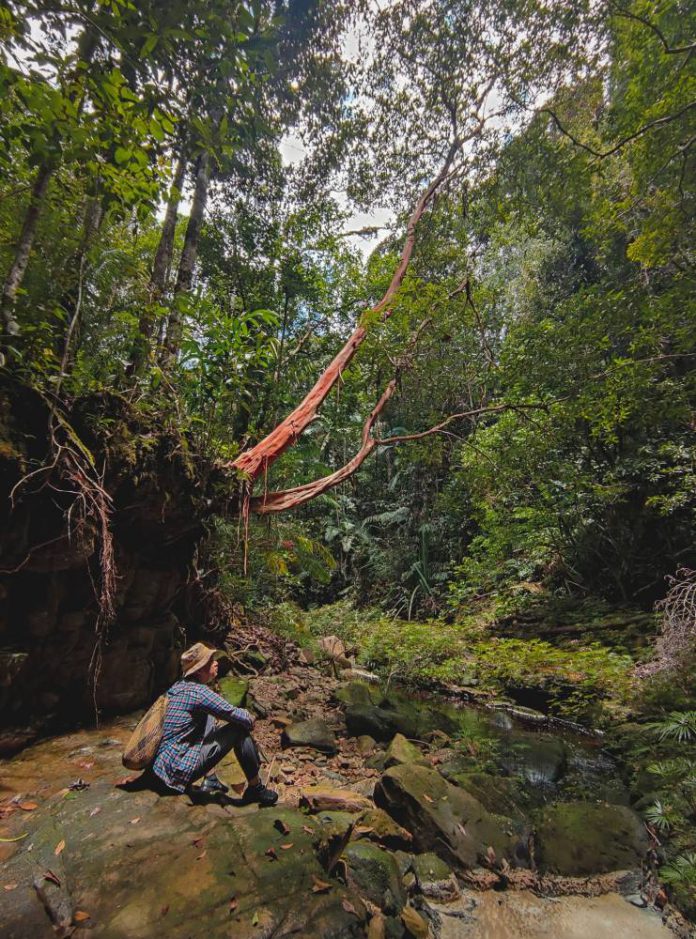 Kuantan Art Street, Lukisan Mural Gambarkan Sejarah Negeri Pahang - Libur