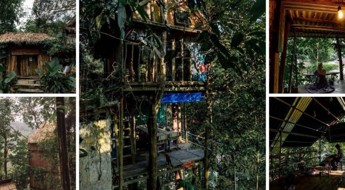 Saksikan Keindahan Sunset Dari Atas Pokok, Jom Staycation Rumah Hutan ...