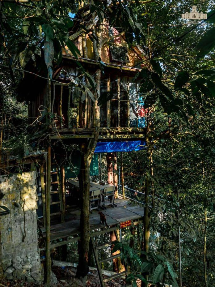 Saksikan Keindahan Sunset Dari Atas Pokok, Jom Staycation Rumah Hutan ...