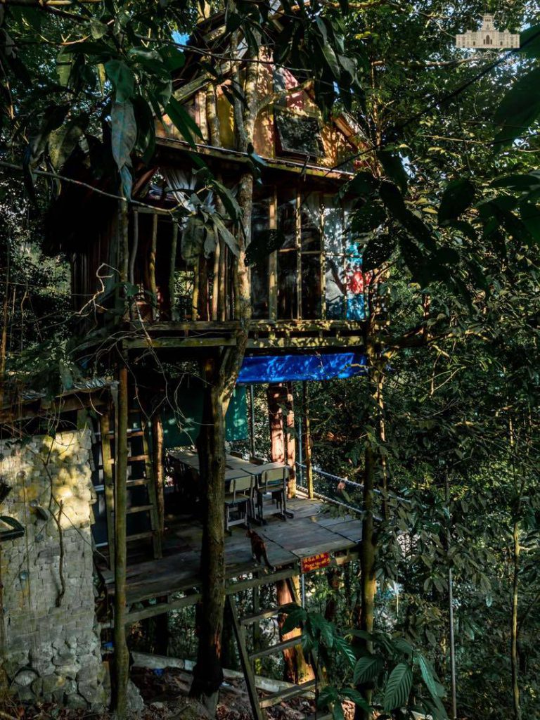 Saksikan Keindahan Sunset Dari Atas Pokok, Jom Staycation Rumah Hutan ...