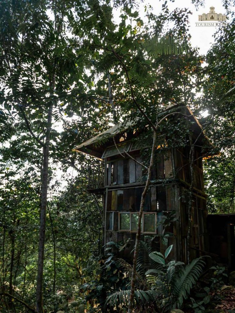 Saksikan Keindahan Sunset Dari Atas Pokok, Jom Staycation Rumah Hutan ...