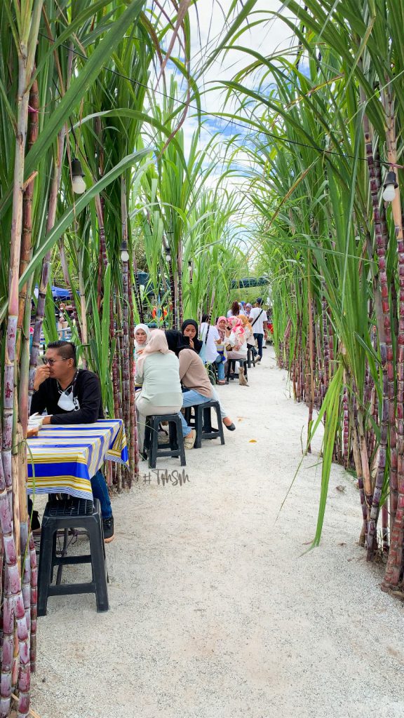 Layan Air Tebu Manis Sambil OOTD Di Laman Tebu Aidil. Hirup Udara Segar ...