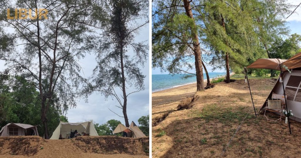 Layan View Cantik Di Willow Tree, Cherating. Lokasi Tepi Laut, Fasiliti ...