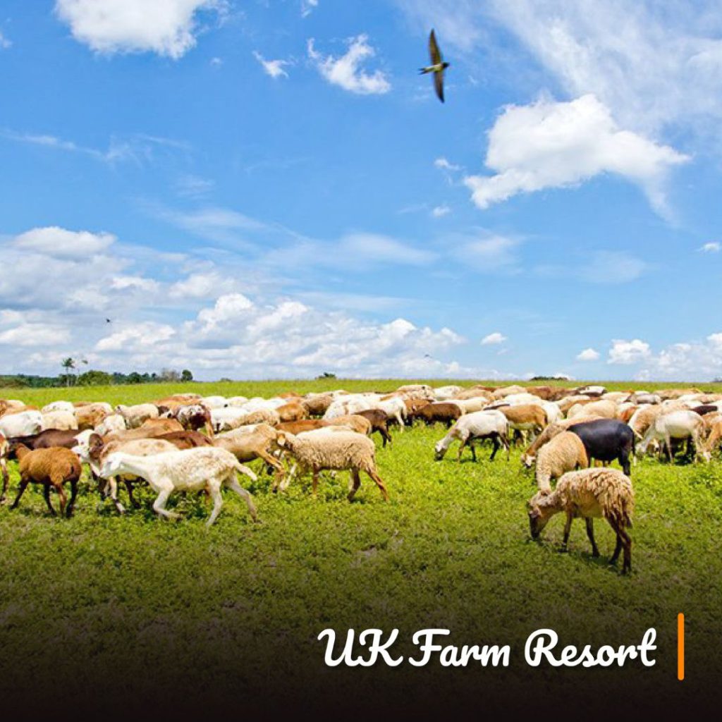 'Perigi Beracun' Tinggalan Sejarah Unik Kota Lukut Di Muzium Lukut Port ...