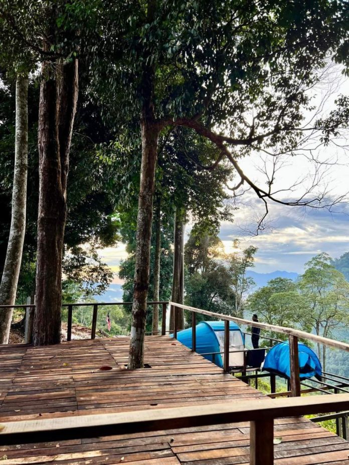 Camping Atas Awan Dengan Suhu Sejuk Macam Oversea di Rainforest Park ...