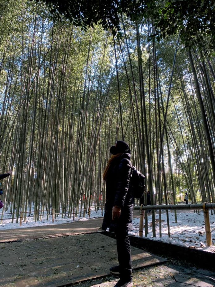 Trip Solo Ke Jepun Terlaksana, Best Main Salji Hari-hari. Gadis Ini ...