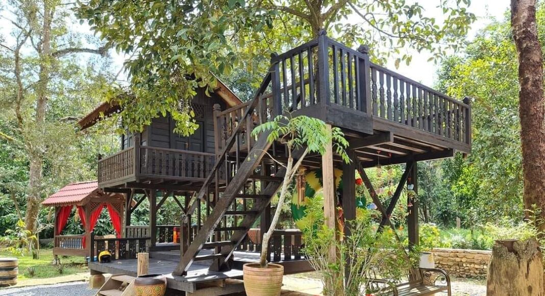 Dusun Riffaa Changlun, Siap Boleh Naik ATV Pusing Tempat Ini