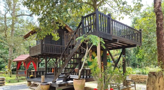 Dusun Riffaa Changlun, Siap Boleh Naik ATV Pusing Tempat Ini