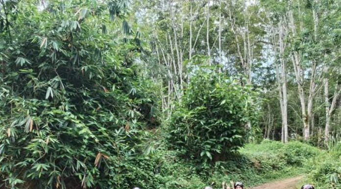 Dusun Riffaa Changlun, Siap Boleh Naik ATV Pusing Tempat Ini