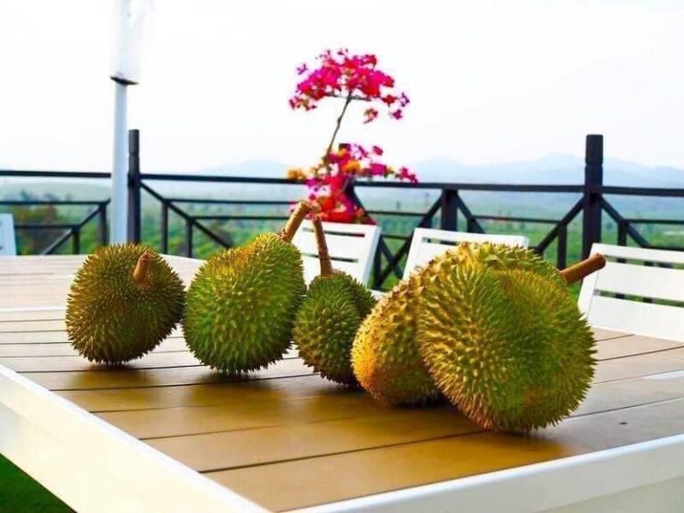 Bilut Hills Resort, Tempat Sejuk Atas Bukit