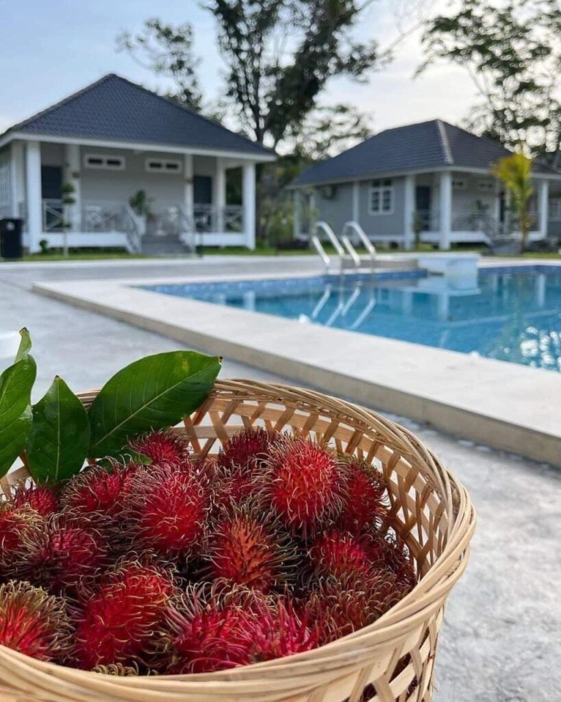 Bercinta Dengan Alam Di Gua Kelam Chalet Perlis, Ada Dusun & Boleh ...