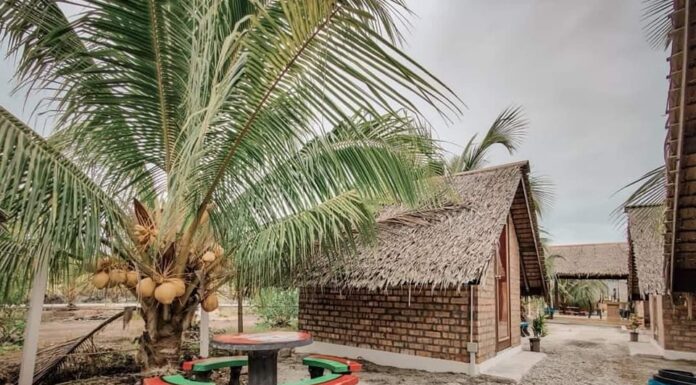 Nak Berdamai Dengan Sawah Padi, Kuala Kurau Tempat Terbaik
