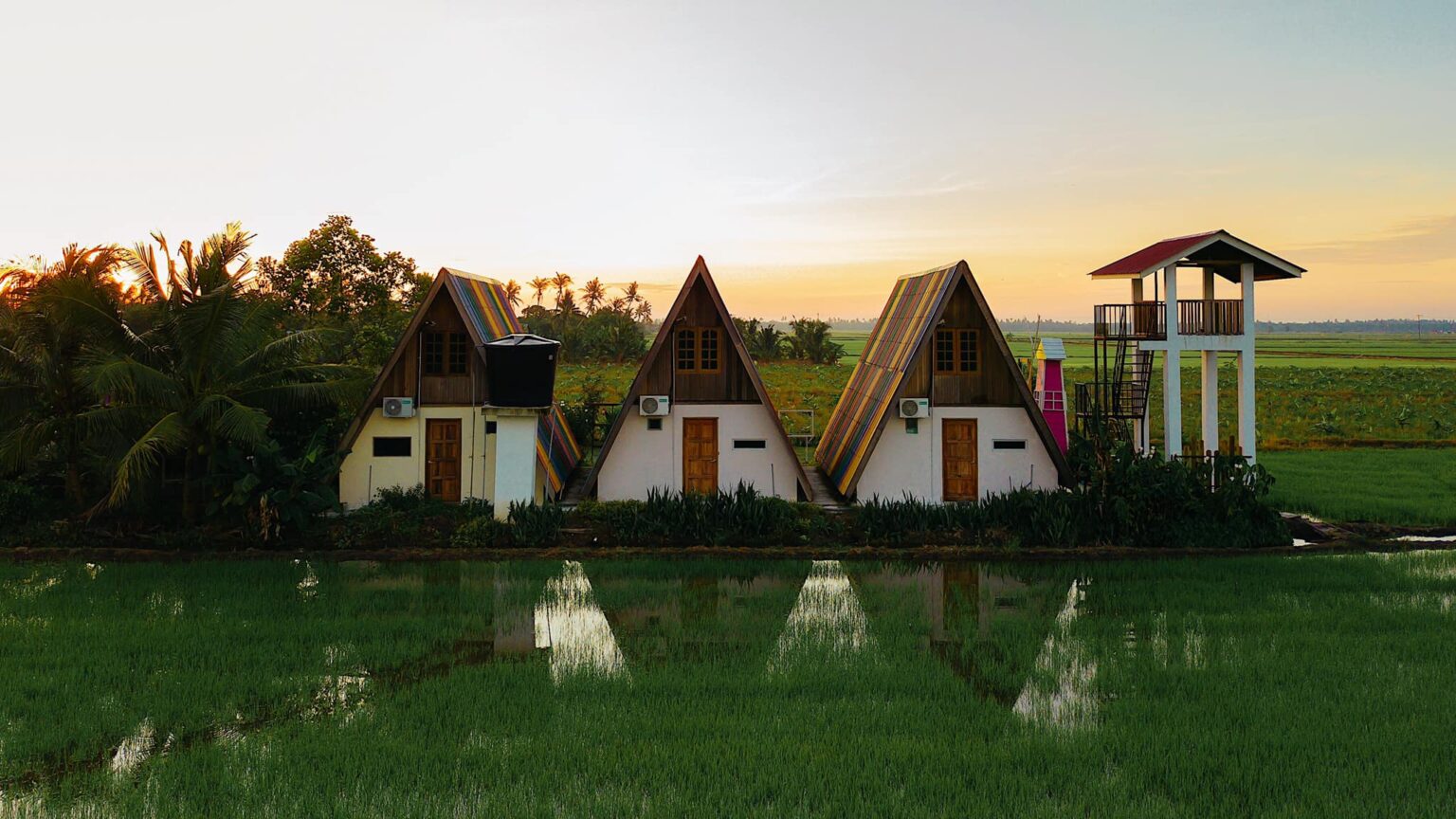 Nak Jamu Mata Kehijauan Sawah Padi, Datanglah Ke Padihijau Homestay