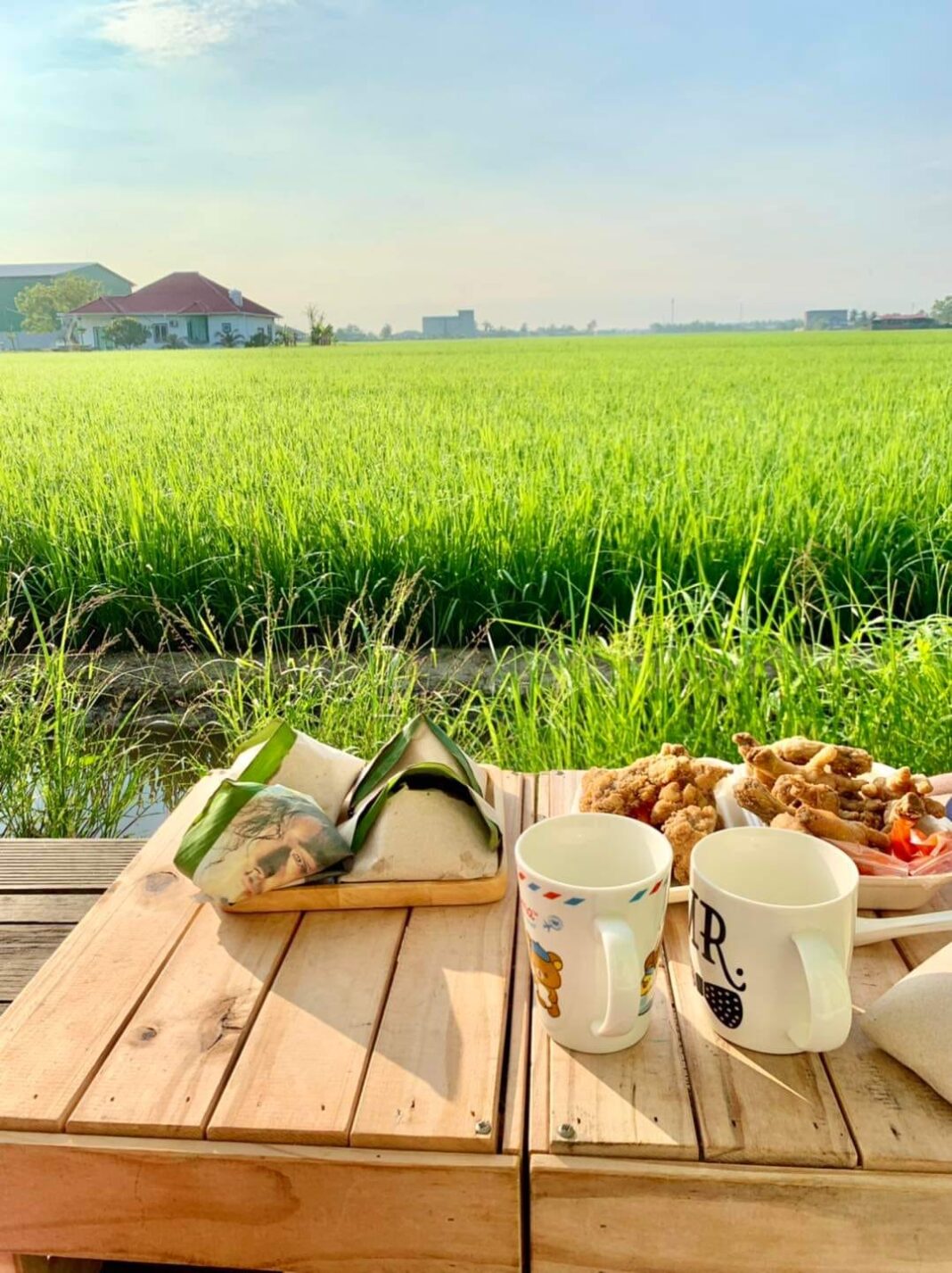 Padi Box Di Sekinchan, Jenis Homestay Kontena Belakang Sawah Padi