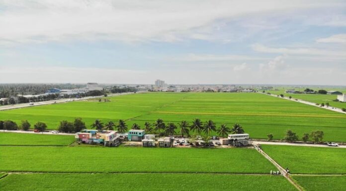 Padi Box Di Sekinchan, Jenis Homestay Kontena Belakang Sawah Padi
