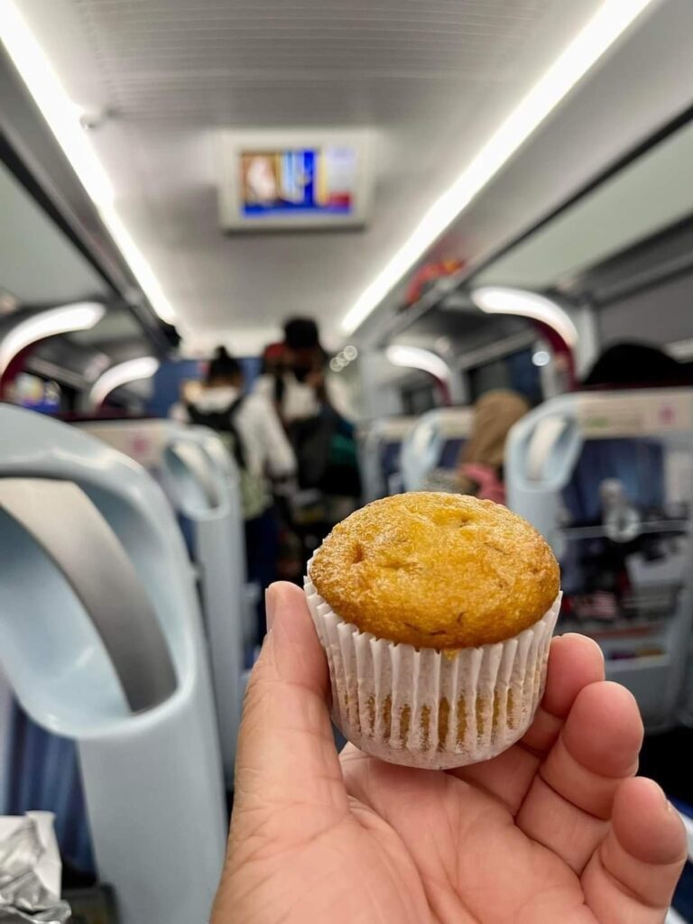 Tip Naik Sleeper Train Dari KL Sentral, Bawa Anak Merasa Perjalanan Jauh