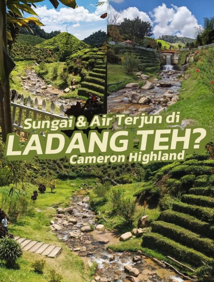Cameron Highland 'Hidden Gems', Ada Sungai Dan Air Terjun Di Ladang Teh