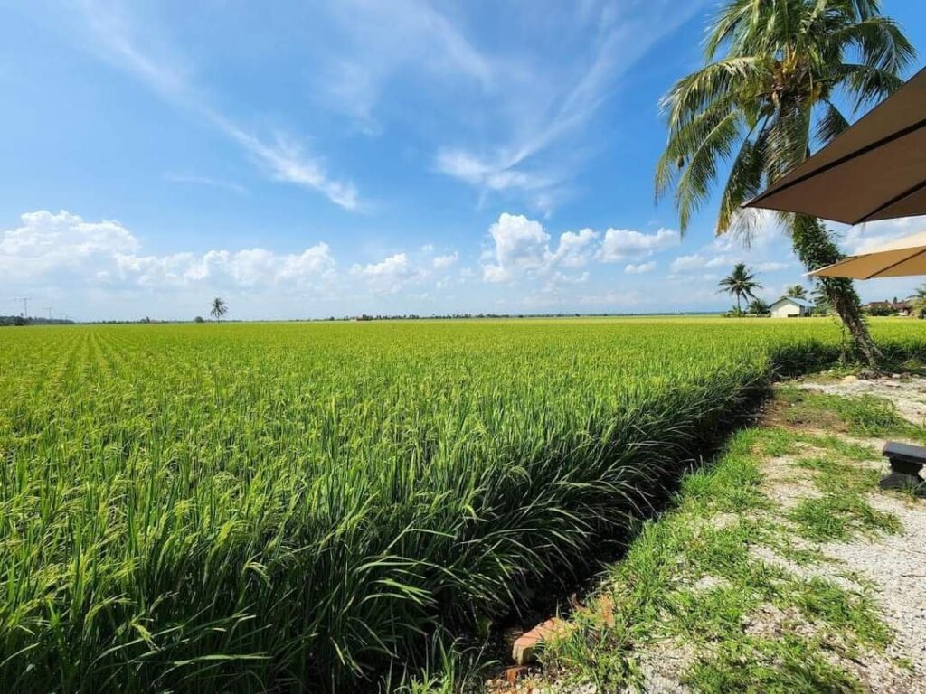 Healing Di Sekitar Selangor, 4 Tempat Ini Antara Yang Menarik!