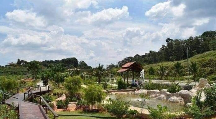 Healing Di Sekitar Selangor, 4 Tempat Ini Antara Yang Menarik!