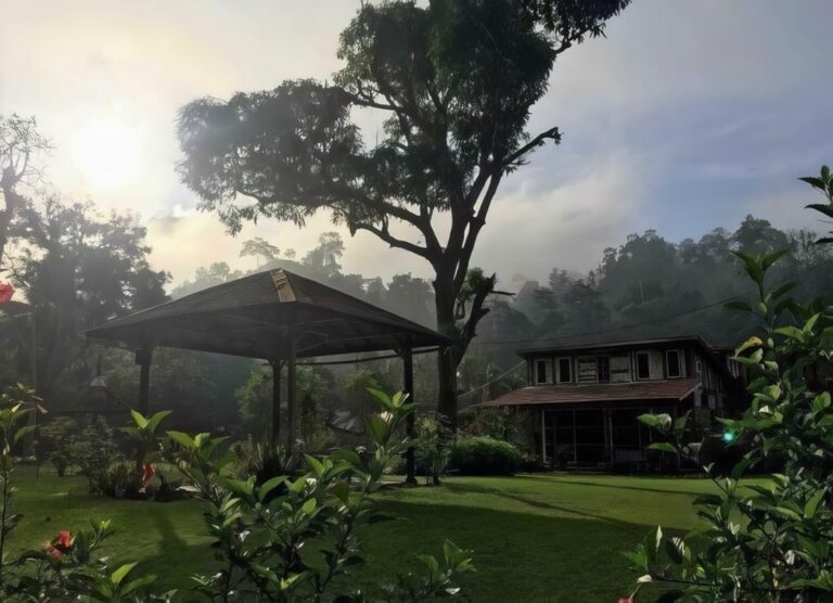 Klasiknya The Nurin Cottage Di Janda Baik, Jom Berdamai Dengan Alam!
